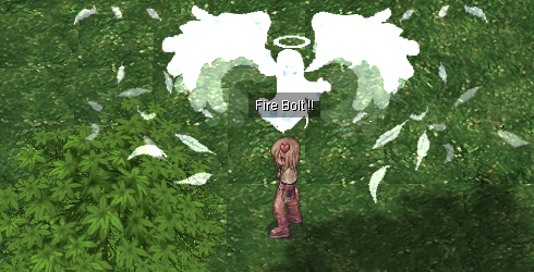 Опыт — FreeRO Wiki, Ragnarok Online